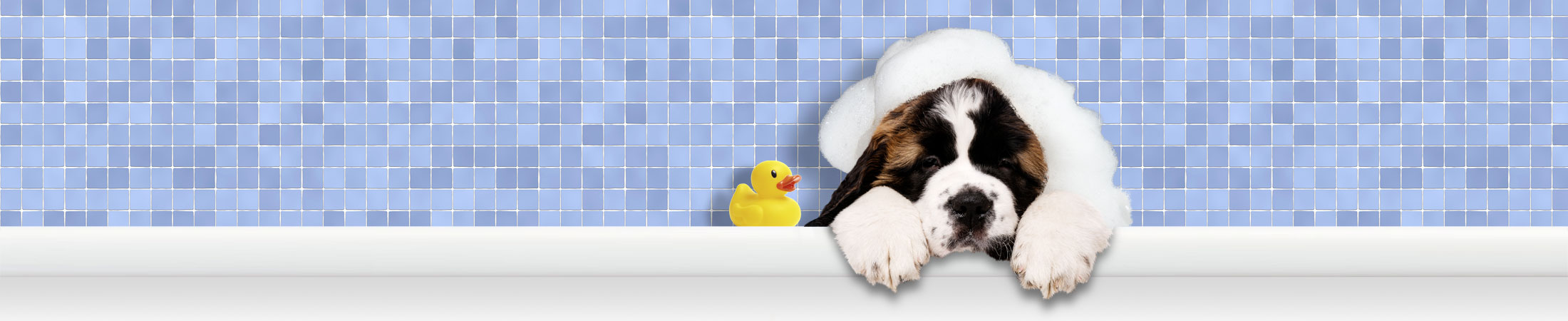 HVAC, AC Repair, Oil & Propane Delivery | Griffith Energy Services, Inc.